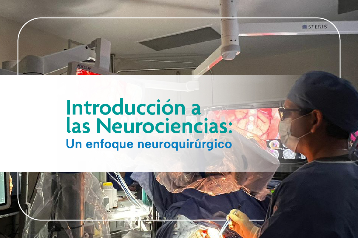 Introducción a las neurociencias – NeurAlliance